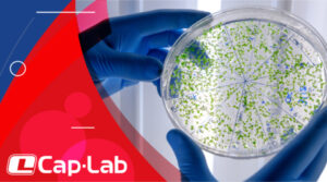 Cap-Lab